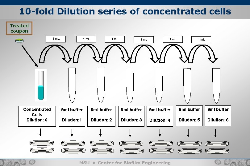 Center for Biofilm Engineering Statistically assessing limits of