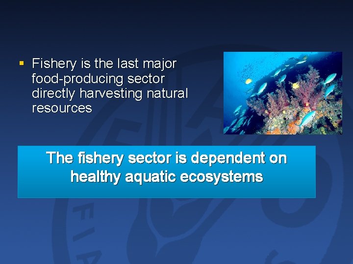 FAO in the framework of Integrated Regional Ocean