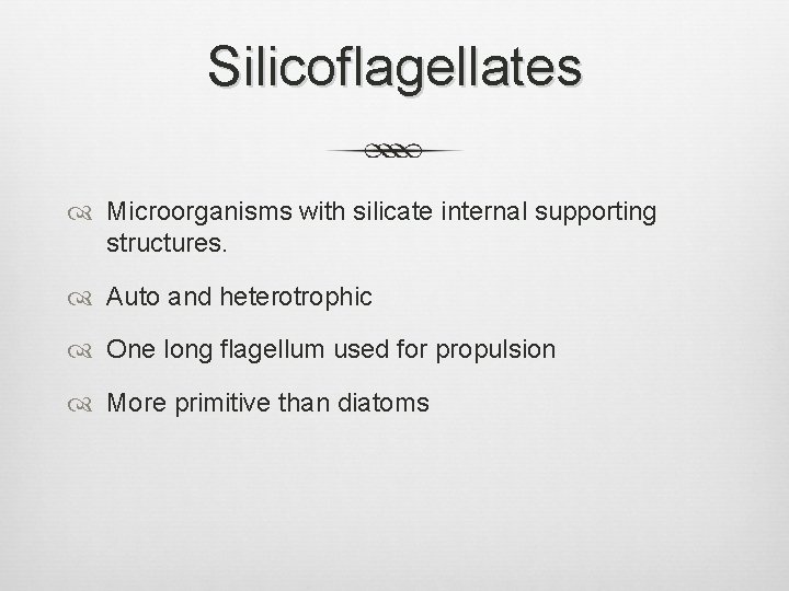 Chapter 4 Energy of Life Matter and Energy