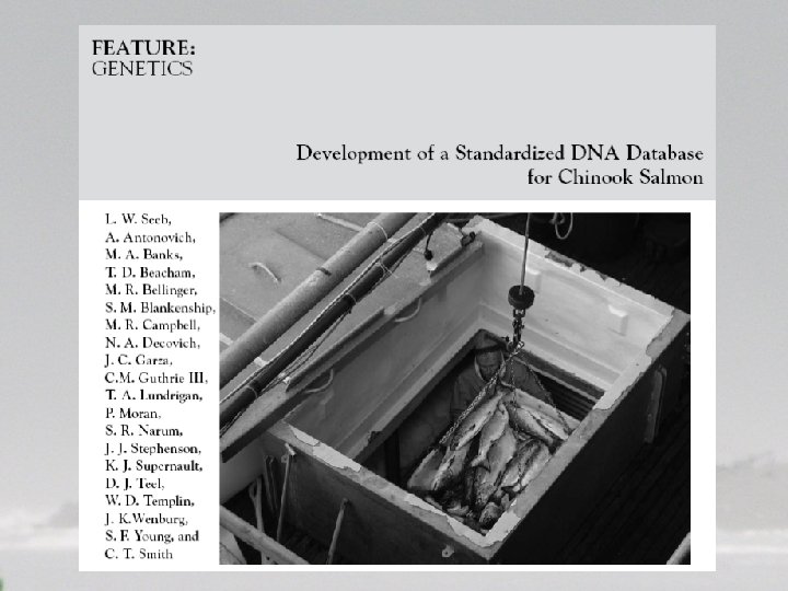 Biological Genetic Stock Identification GSI Time Age Physical