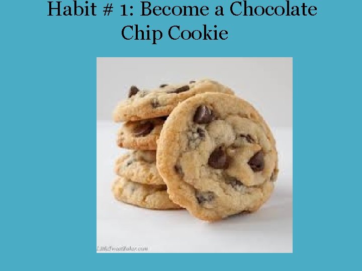 The 7 Habits of Highly Effective Parent Partners