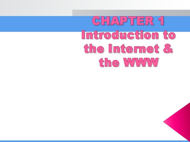 CHAPTER 1 Introduction to the Internet the WWW