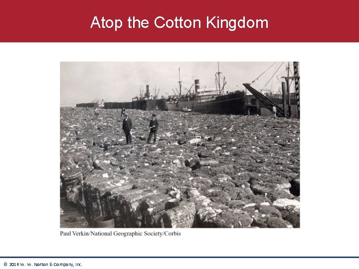 Chapter 11 The South Slavery and King Cotton