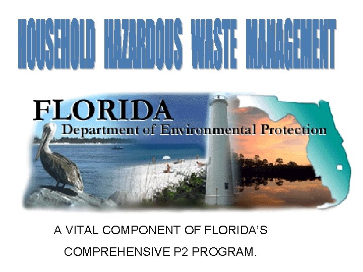 A VITAL COMPONENT OF FLORIDAS COMPREHENSIVE P 2