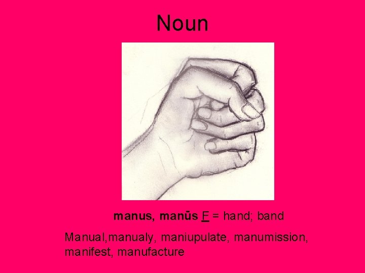 Chapter 18 Vocabulary Chadd H Baribault All picture