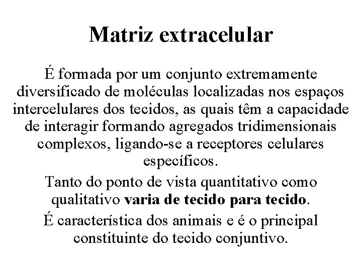 Matriz extracelular formada por um conjunto extremamente diversificado