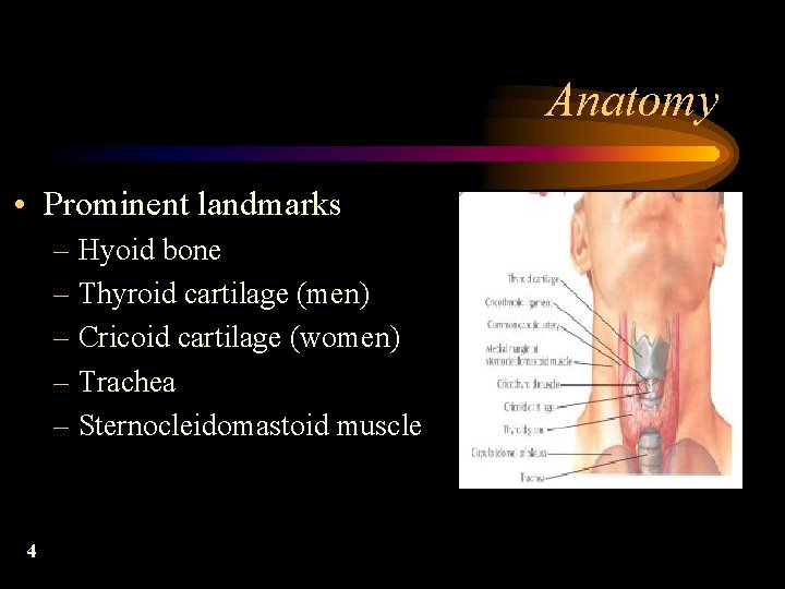 1 Evaluation and Management of the Patient with
