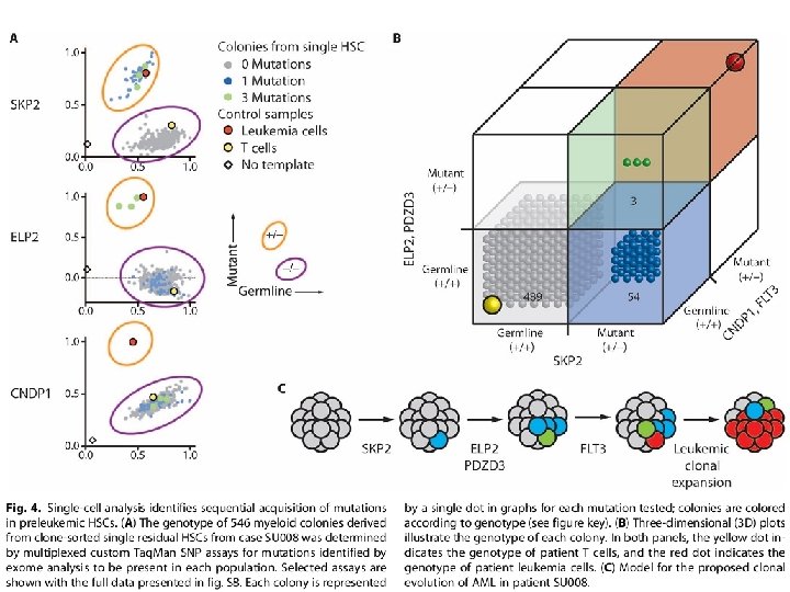 Recent applications of NGS sequencing in cancer studies