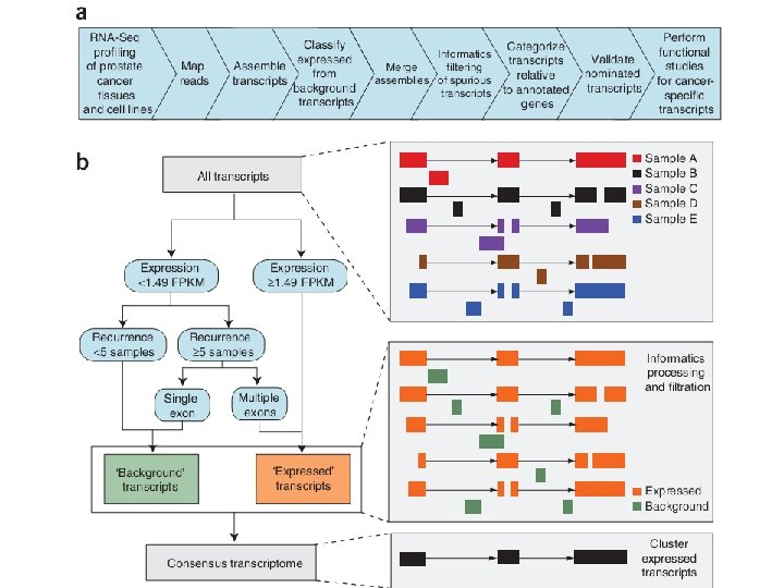 Recent applications of NGS sequencing in cancer studies