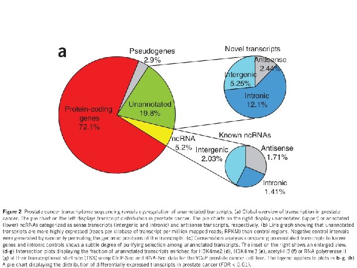 Recent applications of NGS sequencing in cancer studies
