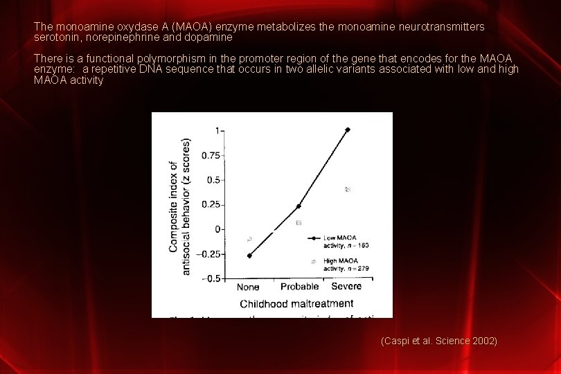 Mechanisms underlying the intergenerational transmission of infant abuse