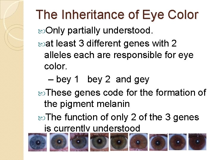 Beyond Mendel 11 3 Into the Genetic Frontier