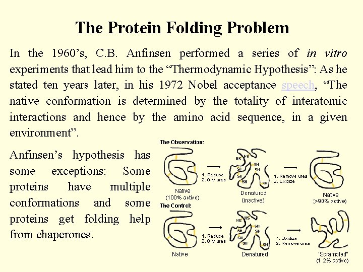 Erez Podoly Introduction to Molecular Neurobiology From Primary