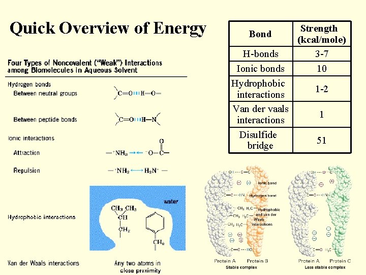 Erez Podoly Introduction to Molecular Neurobiology From Primary