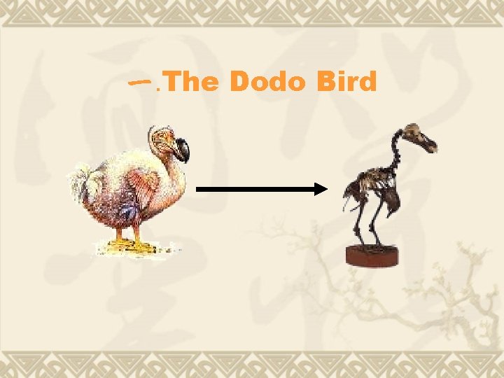The Dodo Bird The Dodo Bird v 1