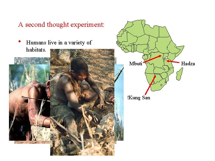 Why Baboons Dont Have History Culture and human