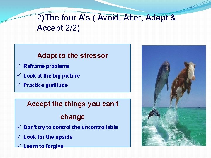 Stress Management Activities By Dr Nagwa Souilm assistant