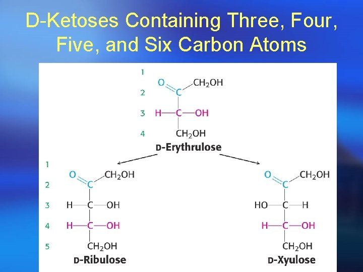 Biochemistry Ch 11 Carbohydrates NTUT Nov 4 2002
