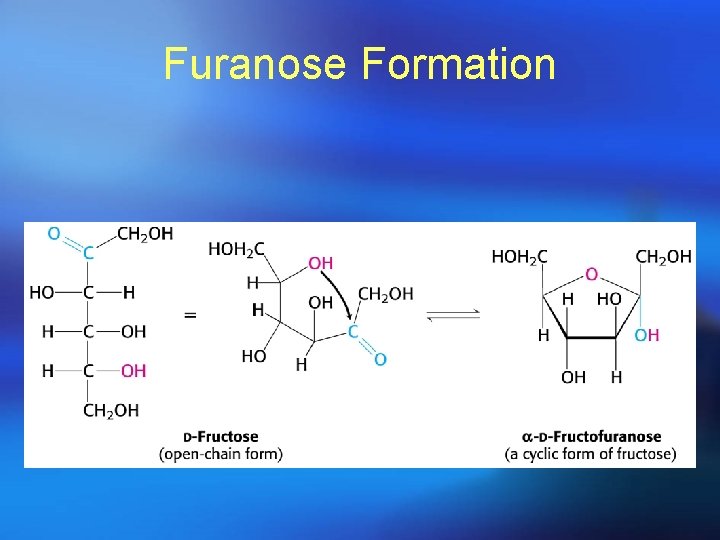 Biochemistry Ch 11 Carbohydrates NTUT Nov 4 2002