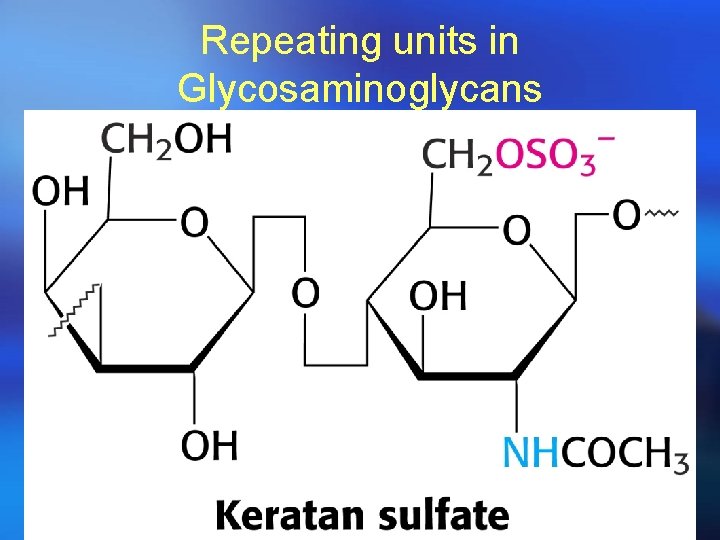 Biochemistry Ch 11 Carbohydrates NTUT Nov 4 2002