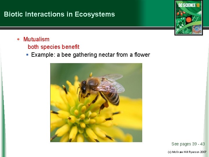 1 2 Ecosystems Each biome is divided into