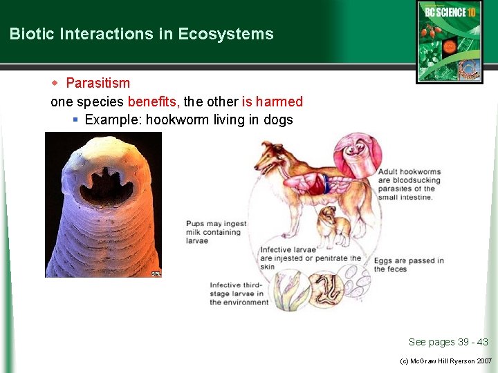 1 2 Ecosystems Each biome is divided into