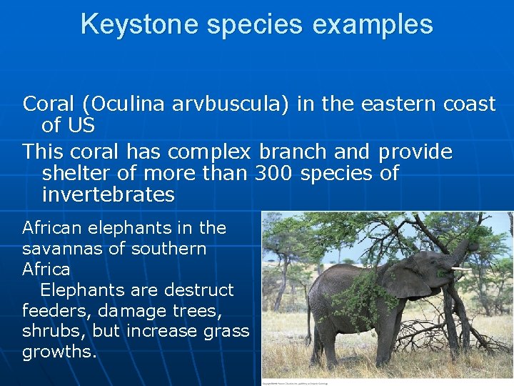 BIOL 4120 Principles of Ecology Lecture 15 Community
