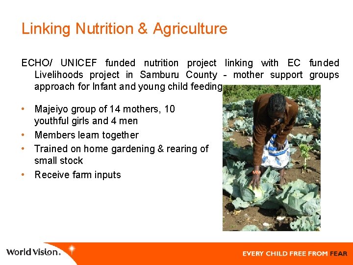 Best practices in addressing nutrition challenges Examples of
