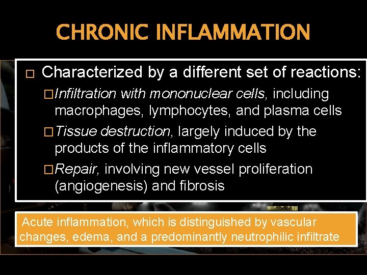Objectives INFLAMMATION AND REPAIR Lecture 4 Chronic inflammation