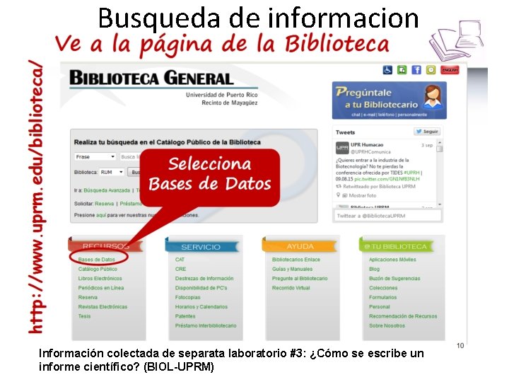 BSQUEDA DE INFORMACIN Diferencias literatura primaria vs secundaria
