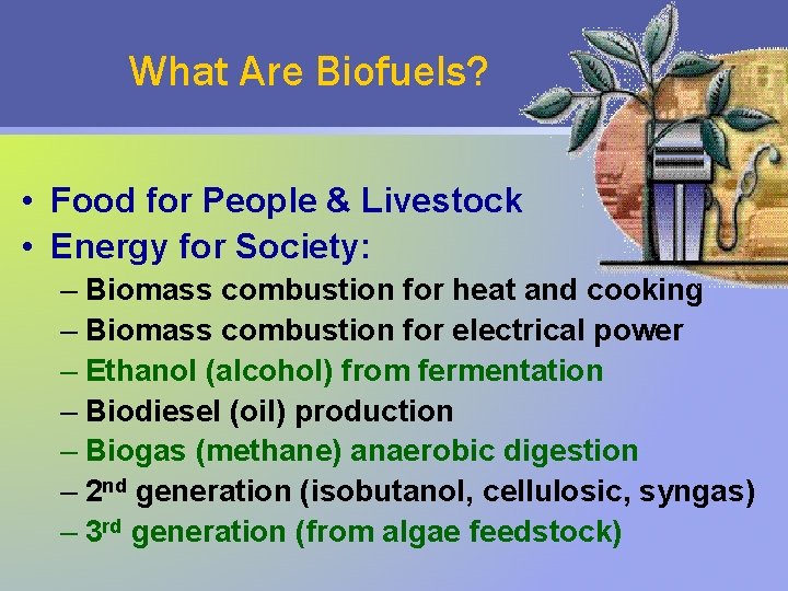 Environmental Considerations of Biofuels in Glades Area Economic