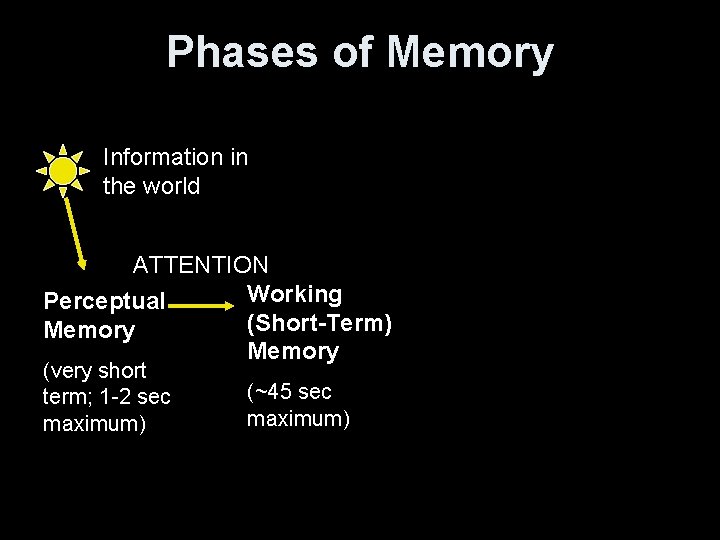Emotion and Memory Changes in Aging Adults Elizabeth