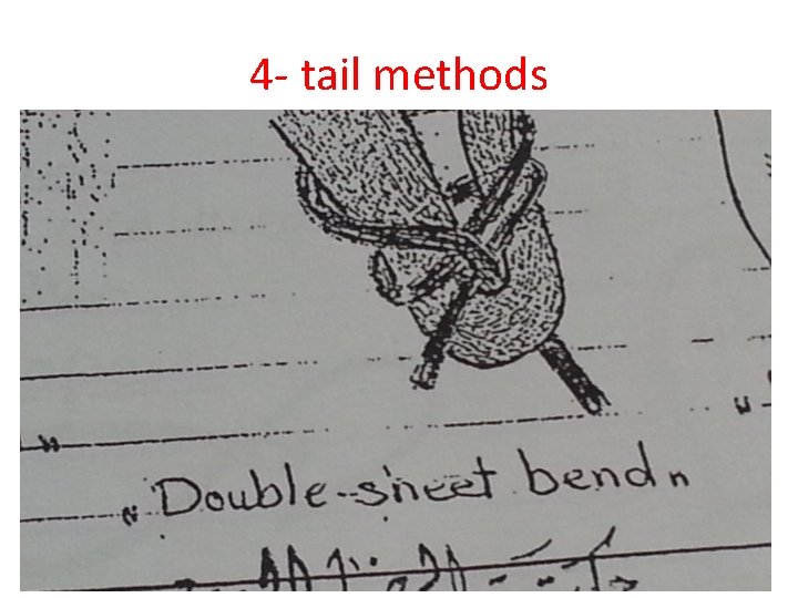 How to Approach your Horse 1 TIP Remember