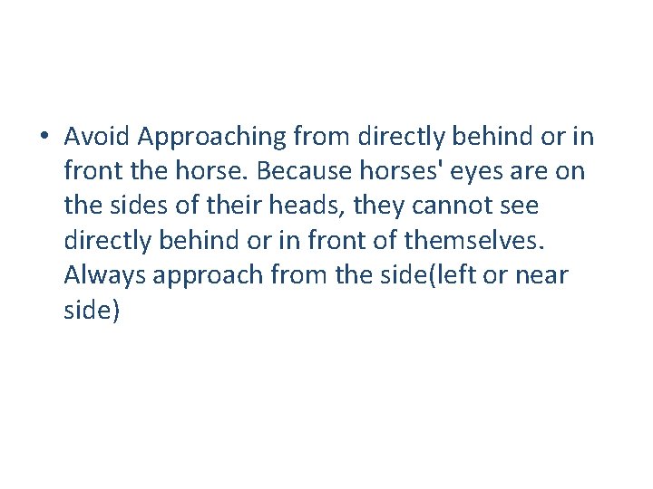 How to Approach your Horse 1 TIP Remember