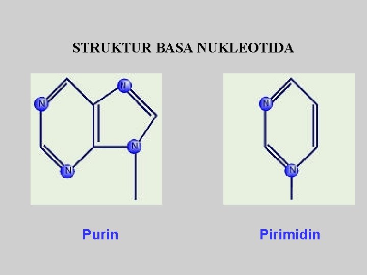 STRUKTUR ASAM NUKLEAT SEJARAH PENEMUAN BAHAN GENETIKA 1879