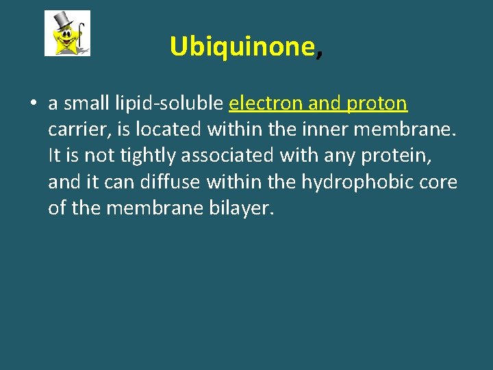 AEROBIC PHASE OF RESPIRATION 1 2 3 4