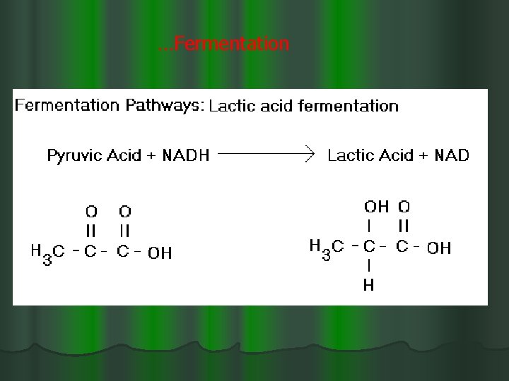 Chapter 10 Catabolism Energy Release and Conservation Copyright