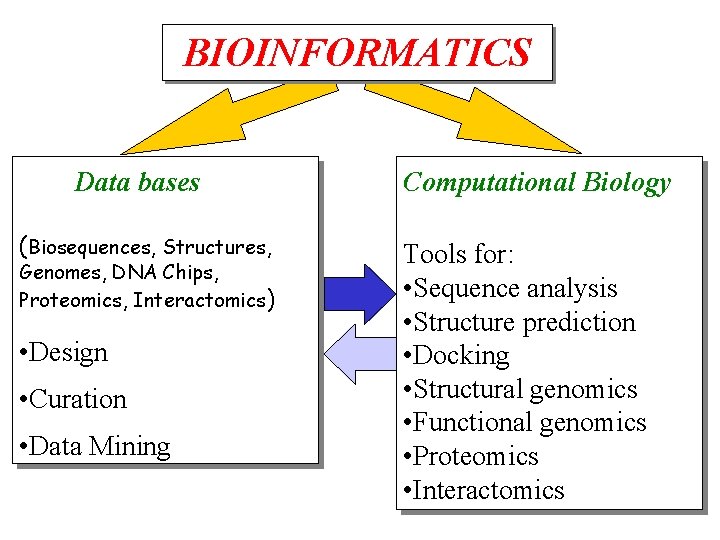 BIOINFORMATICS Data bases Biosequences Structures Genomes DNA Chips
