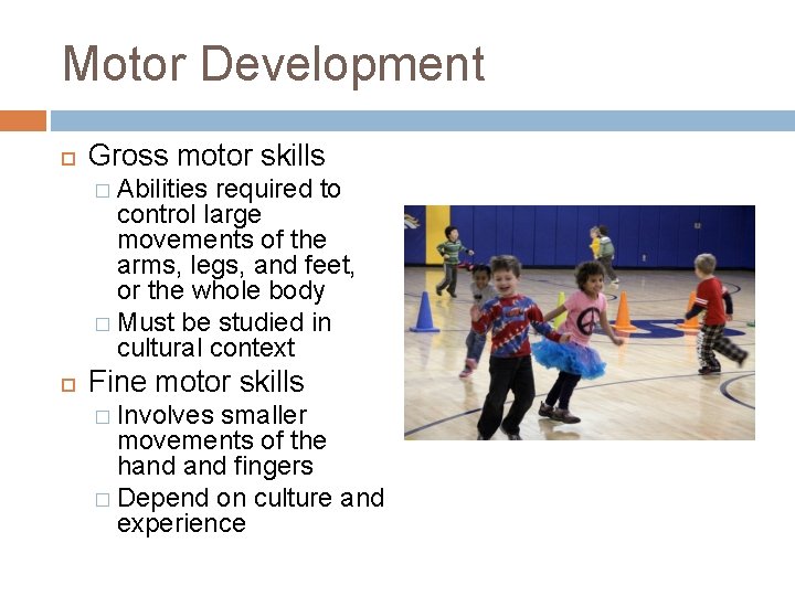 CHAPTER 7 Physical and Cognitive Development in Early