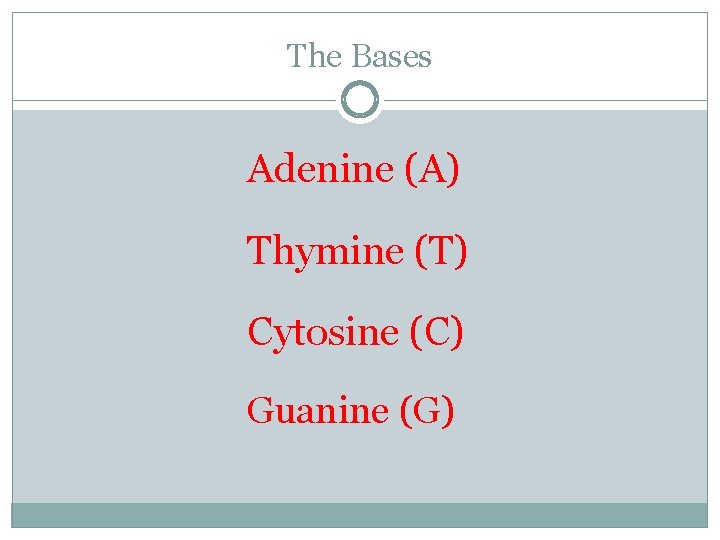 DNA DEOXYRIBONUCLEIC ACID O L Lesson Objectives At