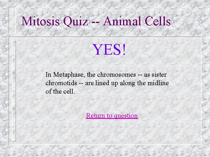 Mitosis Quiz Animal Cells Using the presentation As