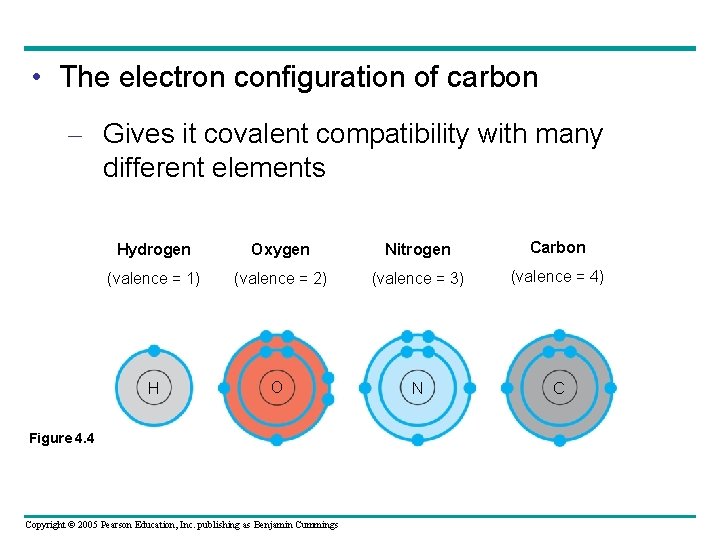 Chapter 4 Carbon and the Molecular Diversity of