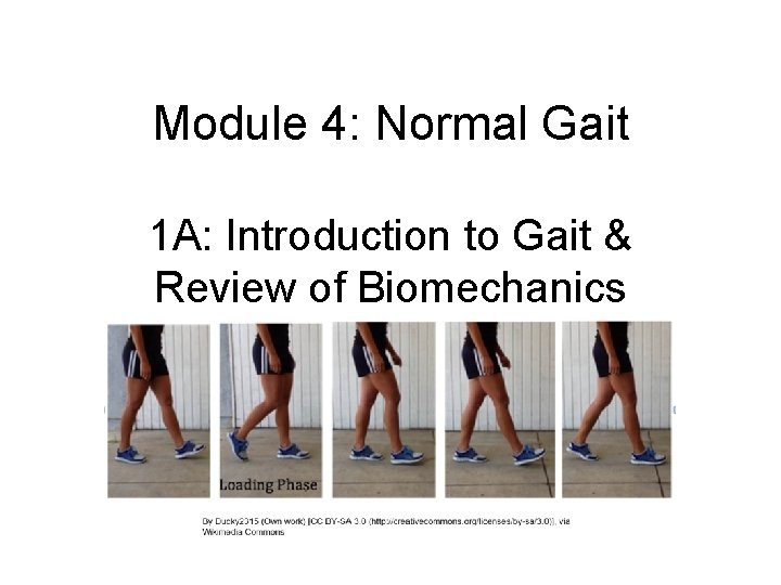 Module 4 Normal Gait 1 A Introduction to