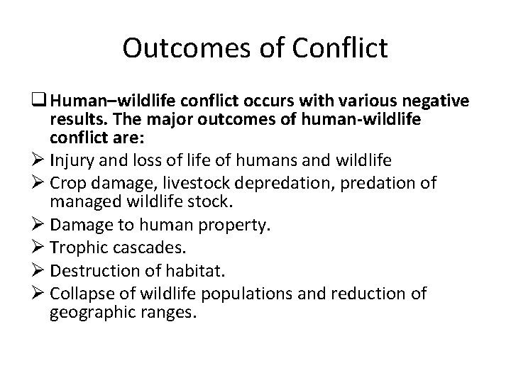 Humanwildlife conflict A lion takes a farmers cattle