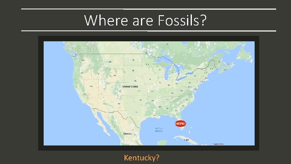 Fossil Collecting Where How and When Webinar by