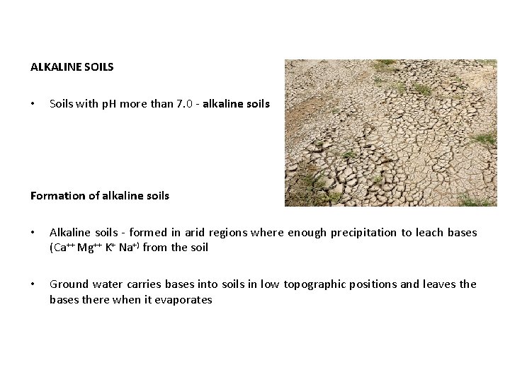 Different types of soils SUBMERSED SOILS ORGANIC SOILS