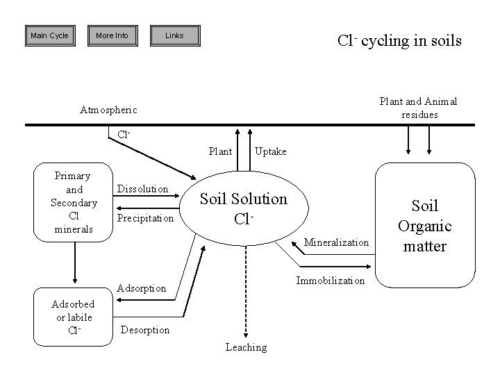Main Cycle More Info Cl cycling in soils