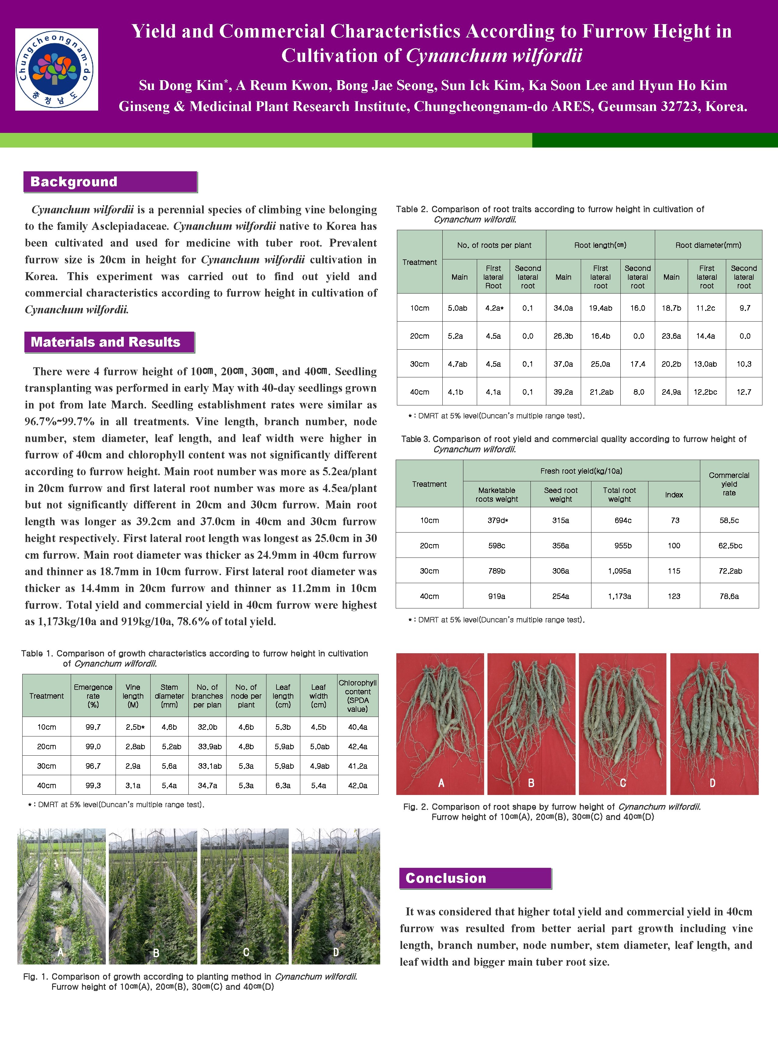 Yield and Commercial Characteristics According to Furrow Height