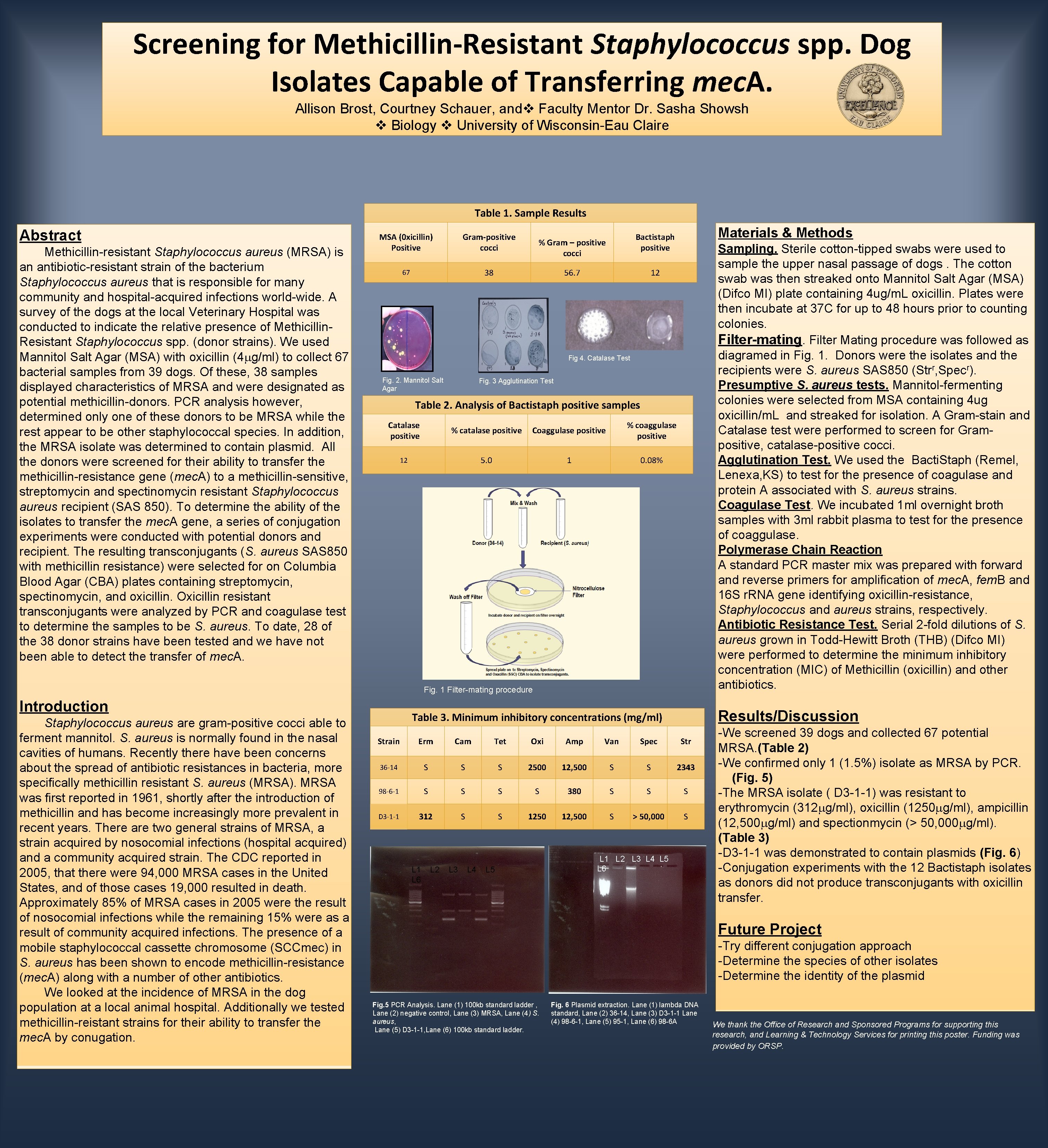 Screening for MethicillinResistant Staphylococcus spp Dog Isolates Capable