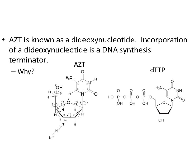 Molecular Biology Biol 480 Lecture 15 February 20